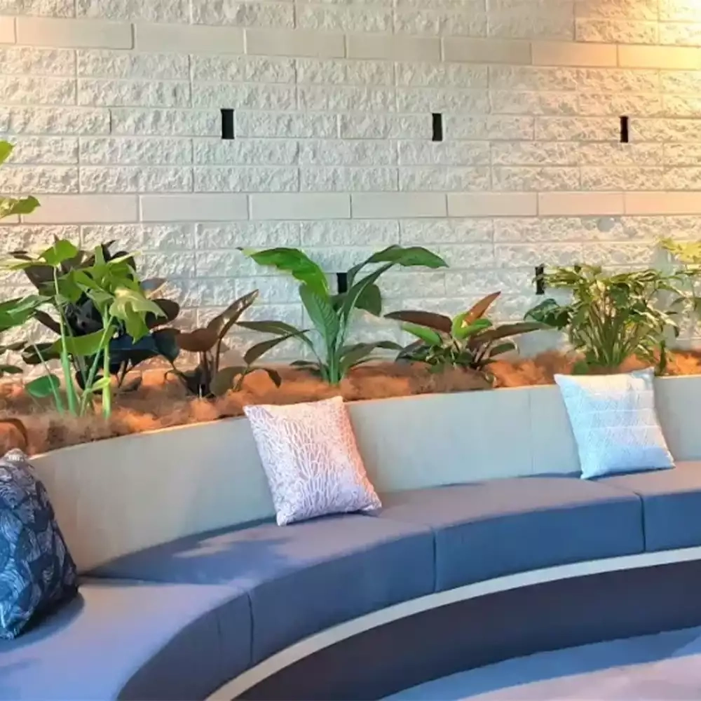 Pot Toppers | Toppings for Indoor Plants | Ambius NZ