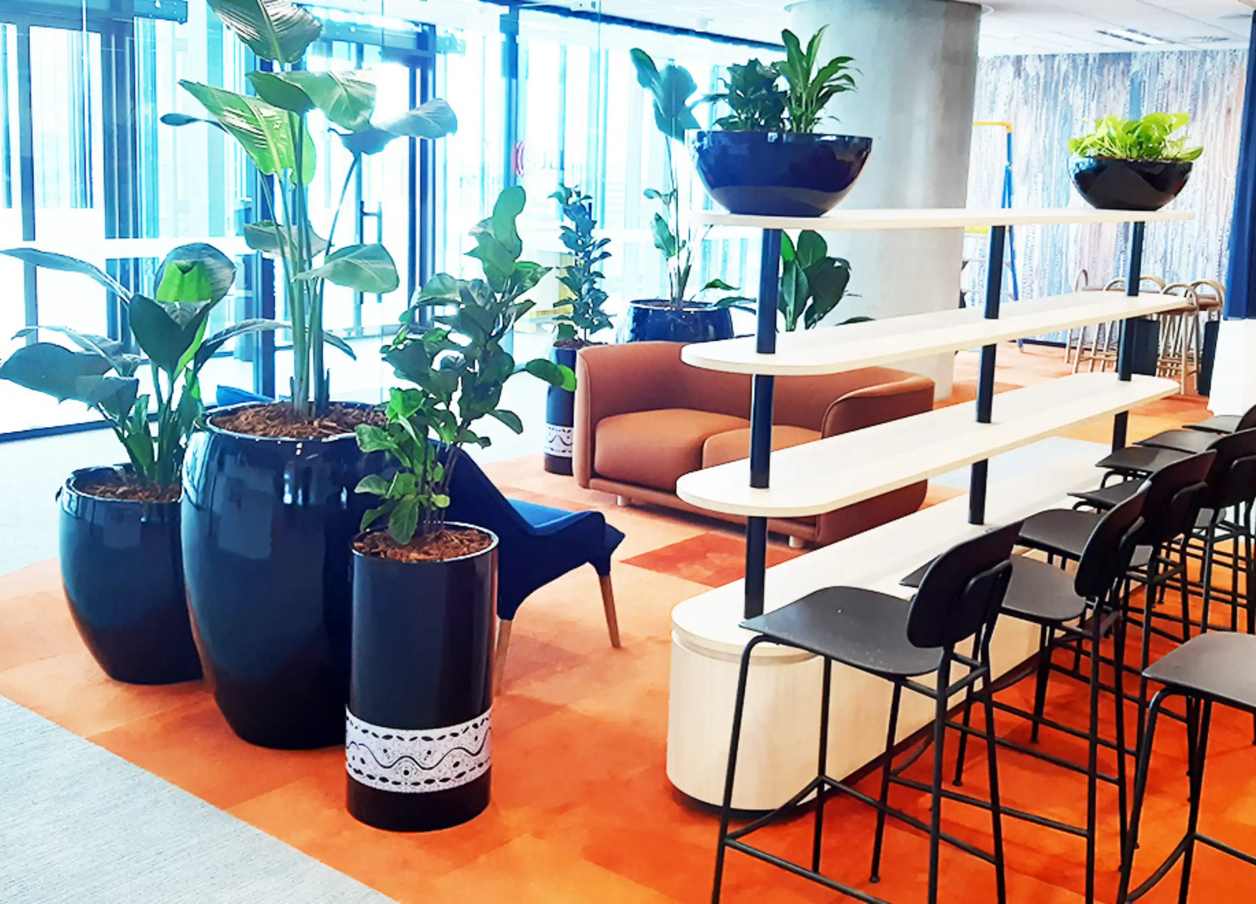Commercial Planter Designers How To Plan An Office Plant Fit Out | The